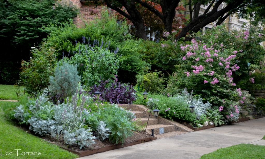 The Dallas Garden Embraces Native Plants - Lee Ann Torrans