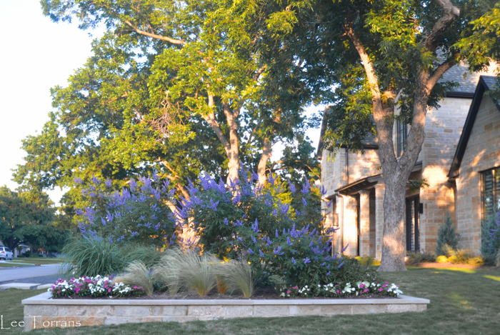 The Dallas Garden Embraces Native Plants - Lee Ann Torrans