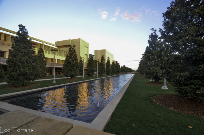 University of Texas at Dallas - Lee Ann Torrans