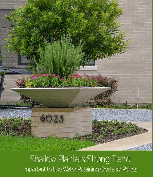 Summer Gardening Finds - Lee Ann Torrans