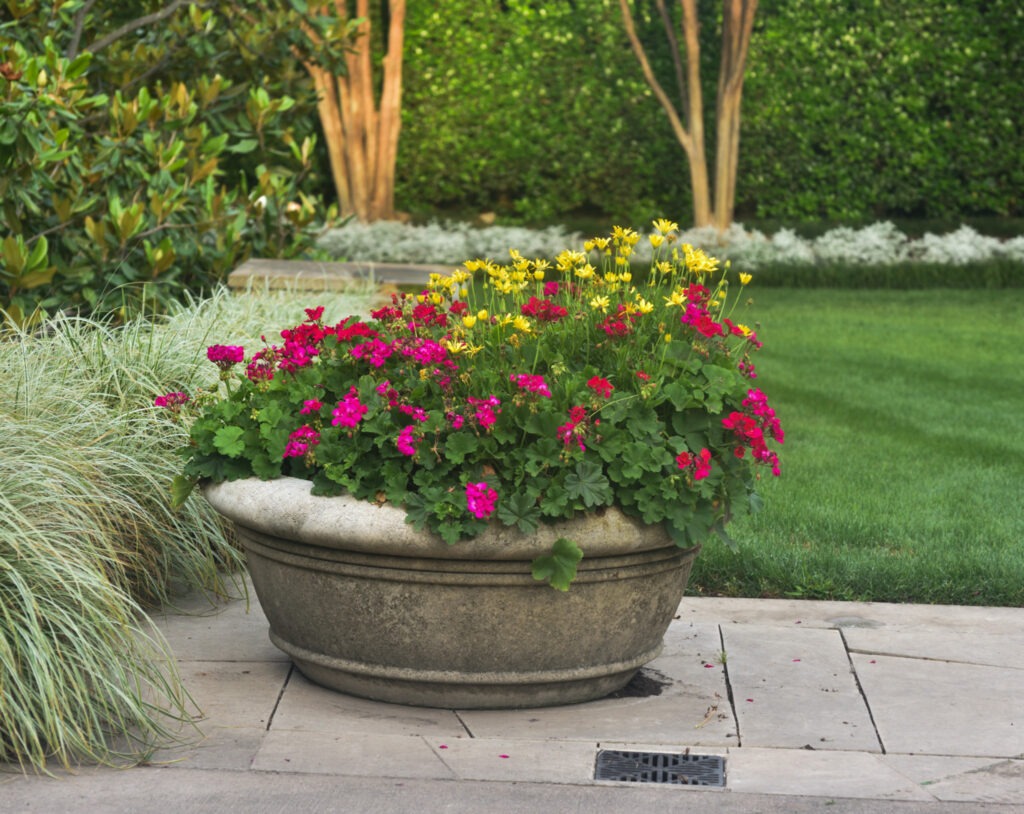 Top Ten Texas Container and Annual Gardening Ideas - Lee Ann Torrans